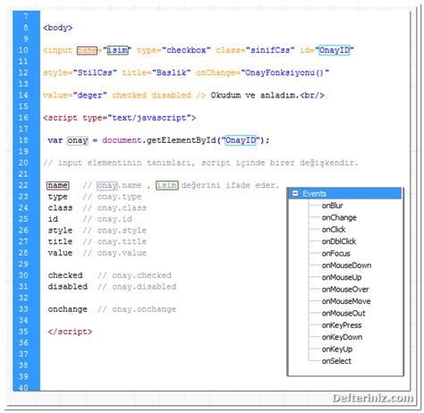 Onay Kutusu Ile Aktif Buton Veya Pasif Buton Javascript Fonksiyonu