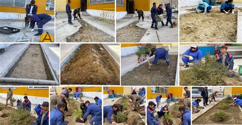 Эвийн 🖌 Монгол Улсын Ерөнхийлөгчийн санаачилсан “Тэрбум мод” үндэсний хөдөлгөөн “Мод тарих