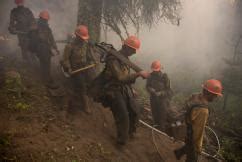 Hotshots Us Forest Service