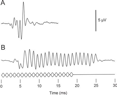 Evoked Responses To A Single Click A And Sinusoidally Download Scientific Diagram