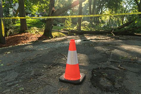 경찰 바리케이드 테이프는 교외에서 위험한 바람으로 인해 폐쇄 된 도로를 표시합니다 쓰러진 나무가 폭풍우가 몰아친 후 뉴저지의 작은 마을에서 거리를 바리케이드로