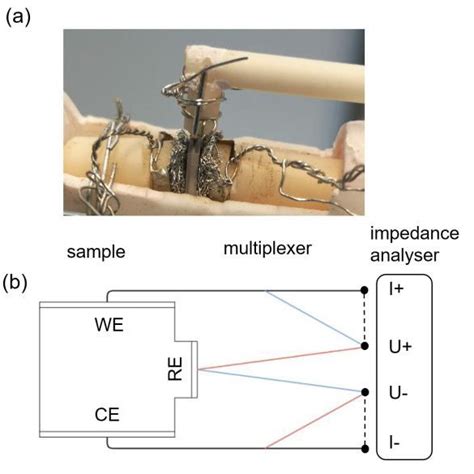 A Image Of A Three Electrode Sample Electrically Contacted In The