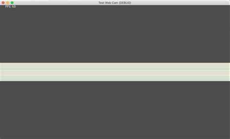 3x Webcam Works In The Editor But Not In An Exported Project On Macos · Issue 51940