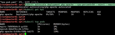【kubernetes】k8s 自动伸缩机制—— Hpa 部署kubernetes Kpa Csdn博客