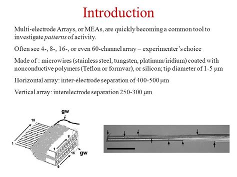 Multi Electrode Arrays MEAs March 25 Introduction Multi Electrode Arrays Or MEAs Are