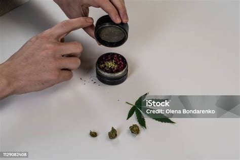 의료 마리화나 공동 압 연 하는 남자 마리화나 새싹 잡 초 잎 및 백색 배경에 분쇄기 대마초 건강관리와 의술에 대한 스톡 사진 및 기타 이미지 Istock