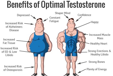 How To Fix Low Testosterone Levels — Melrose Park Chiropractor