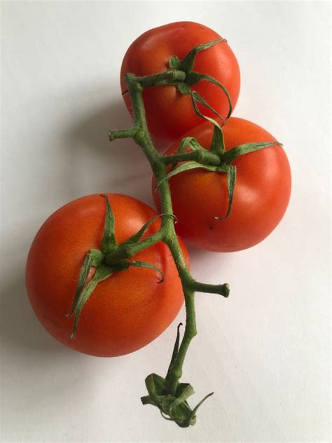 63 Art References Ideas In 2025 Art Reference Art Reference Photos