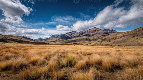 Patagonian Steppe With Patagonian Grassland Basin Rocky Ground Textures