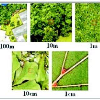 Understanding Concept Of Spatial Resolution Download Scientific Diagram