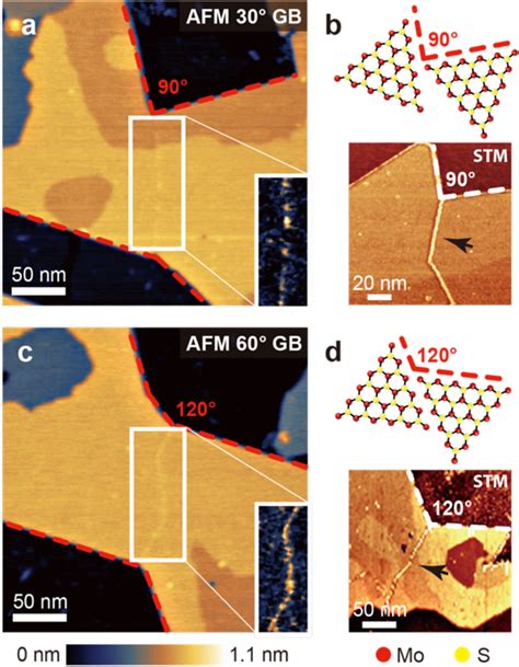 Figure 2 From Point Defects And Grain Boundaries In Rotationally