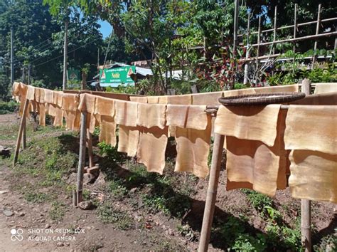 လိပ်သိုဒေသတွင် ရော်ဘာစျေးကွက် ဖြစ်ထွန်း Information And Public Relations Department