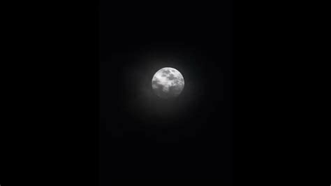 Paccu Midnight Youtube