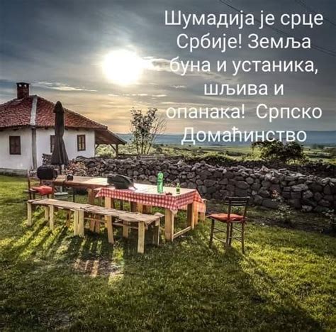 Српско Домаћинство Не ломите ми багрење Верујем цењени суде да добро познајеш људе ви барем