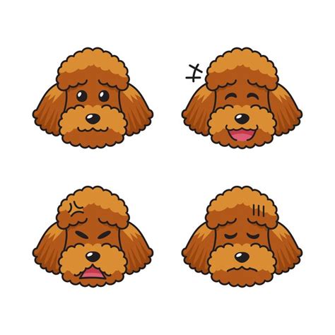 Cockapoo Face Vectors And Illustrations For Free Download Freepik