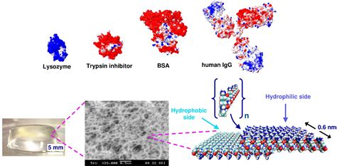 Laboratory Of Molecular Architecture Molecular Machine Group