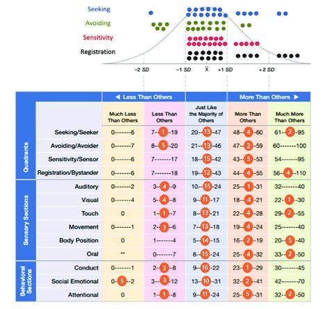 The Distribution Of The Four Different Sensory Processing Patterns In Download Scientific