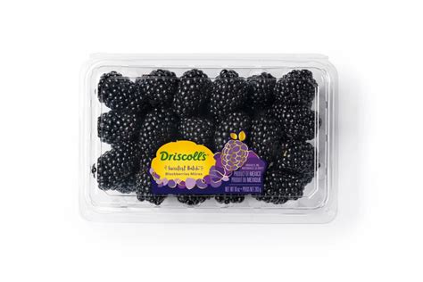 Driscolls Sweetest Batch Fresh Blackberries 10 Oz Ralphs