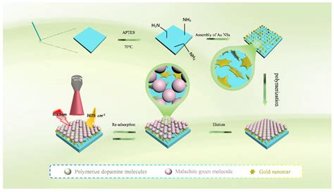 Molecularly Imprinted Sers Plasmonic Sensor For The Detection Of Malachite Green
