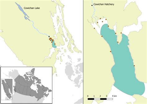 Analyze And Visualize Your Data By Krishnathaku202 Fiverr