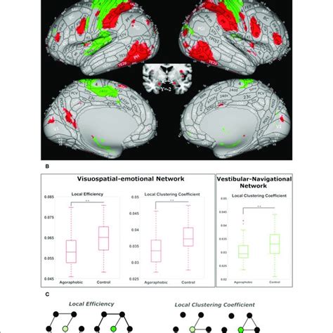 Global Clustering Coefficient Efficiency And Transitivity Were