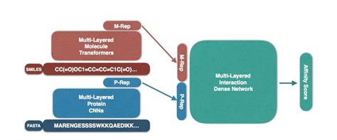 S Self Attention Based Molecule Representation For Predicting Drug Target Interaction R