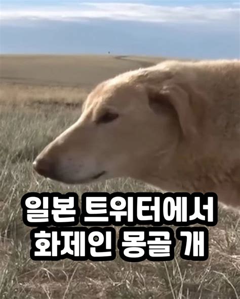 파스텔 심리 연구소 젠장 간파당했어 Mbti Mbti유형별 말버릇 공감 테스트 공감 Instagram