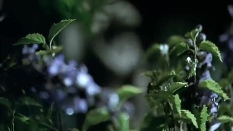 Taylor Swift Nude Porn Videos And Sex Tapes Celebrity Hot Xxx Rated Sex