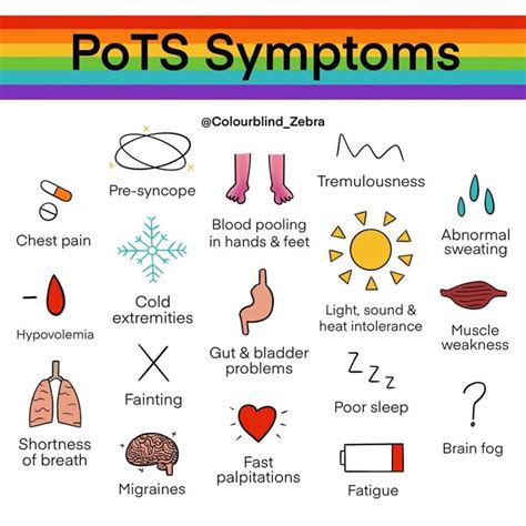 Pots Symptoms Dysautonomia Awareness Dysautonomia Autonomic Nervous