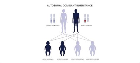 Premium Vector Dominant Inheritance Pattern