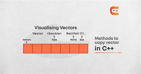 Methods To Copy In Vector Coding Ninjas