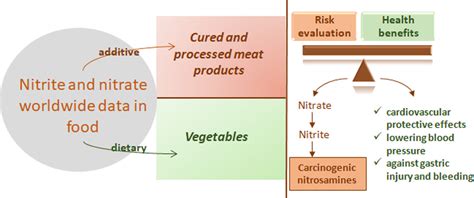 Nitrate Vs Nitrite