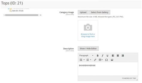 How To Add An Extra Category Description In Magento 2 Magepow Blog