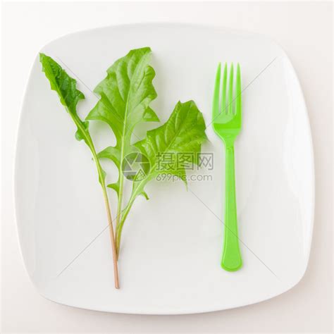 健康饮食或节食的概念与绿色沙拉叶子和叉子在浅高清图片下载 正版图片503266004 摄图网