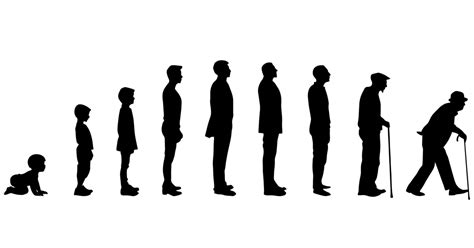 Overlapping Generations Olg Model Inomics
