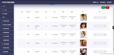 开题报告 Springboot哈尔滨文旅信息网站hg785计算机毕业设计哈尔滨文旅毕业设计 Csdn博客