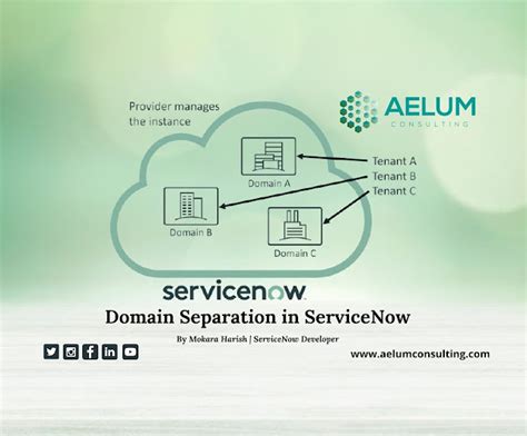 Aelum Consulting Domain Separation In Servicenow