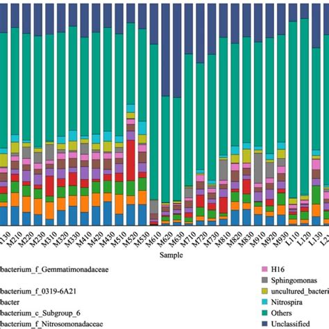 Species Distribution Histogram At Genus Level 3 2 2 Species Abundance