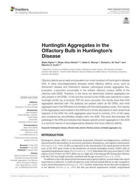Pdf Huntingtin Aggregates In The Olfactory Bulb In Huntingtons Disease
