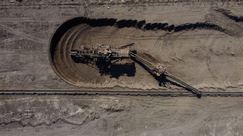 Thëngjilli I Dëmshëm Por I Domosdoshëm