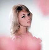 Sharon Tate Vintage Erotica Forums