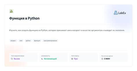 Функция в Python Labex