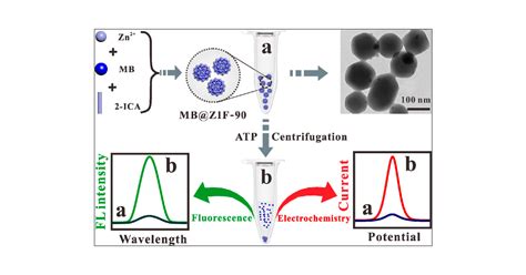 One Step Synthesis Of Methylene Blue Encapsulated Zeolitic Imidazolate Framework For Dual Signal