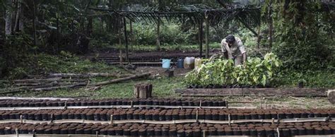Ethiopia African Development Bank Approves 104 Million In Funding To