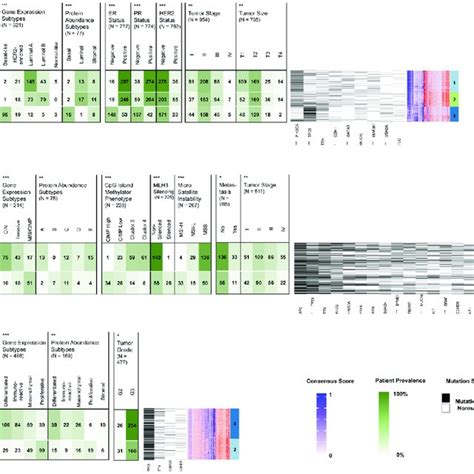 Consensus Clustering And Methylation Profiles For Three Cancer Sites At