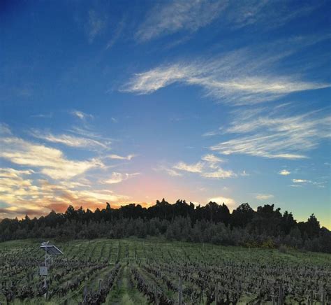 ¿sabes Que Es El Monitoreo En Tiempo Real Es La Capacidad De Monitorear Continuamente Y En