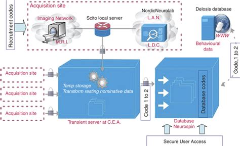 Data Anonymization And Transfer Procedures A Data Anonymization Download Scientific Diagram Data Anonymization And Transfer Procedures A Data Anonymization Download Scientific Diagram