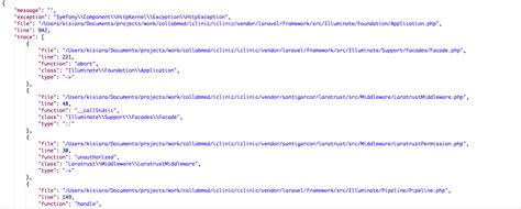 Json Response For Ajax Requests On Middleware Protected Routes · Issue