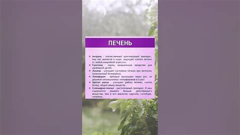 печень здоровоепитание советы полезныесоветы здоровыйобразжизни Youtube