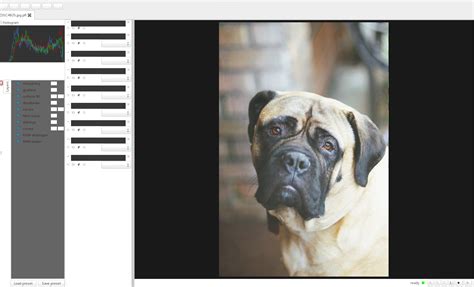Photoflow Appimage Package Ready For Testing Photoflow